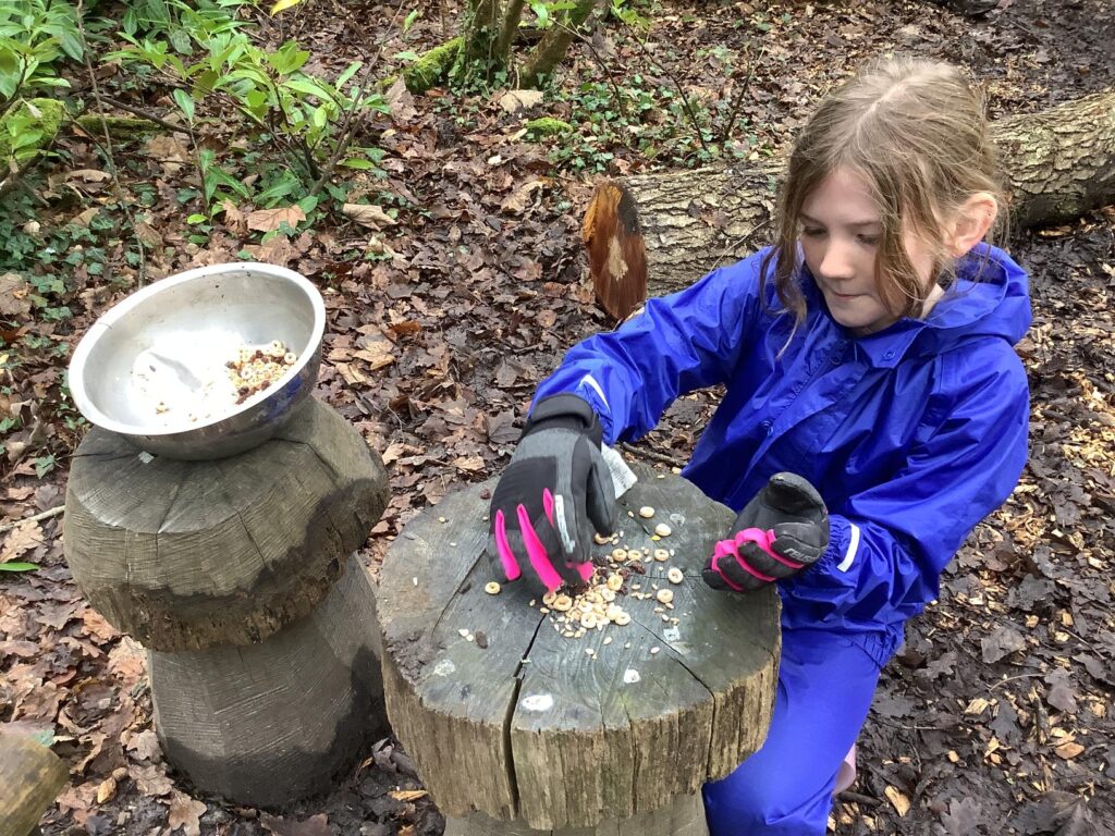 Forest School Gallery | Nursery Hampshire | Ballard School