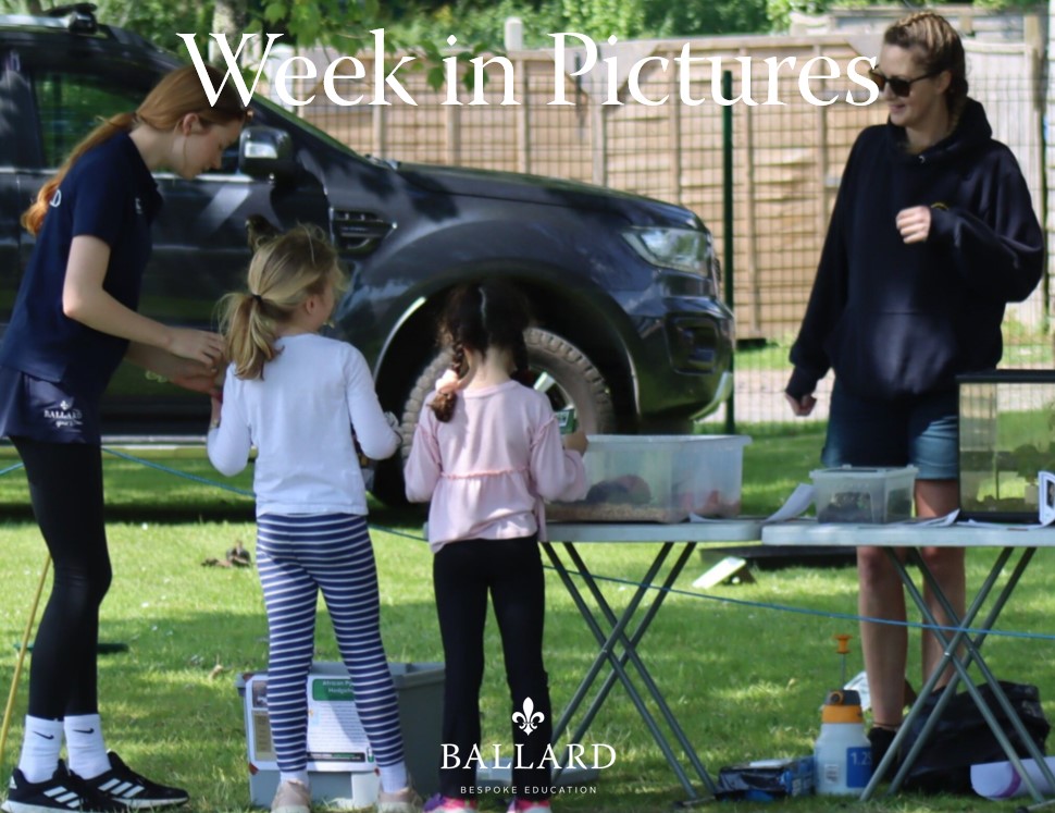 Ballard Bulletin W/C 15th May - Ballard School